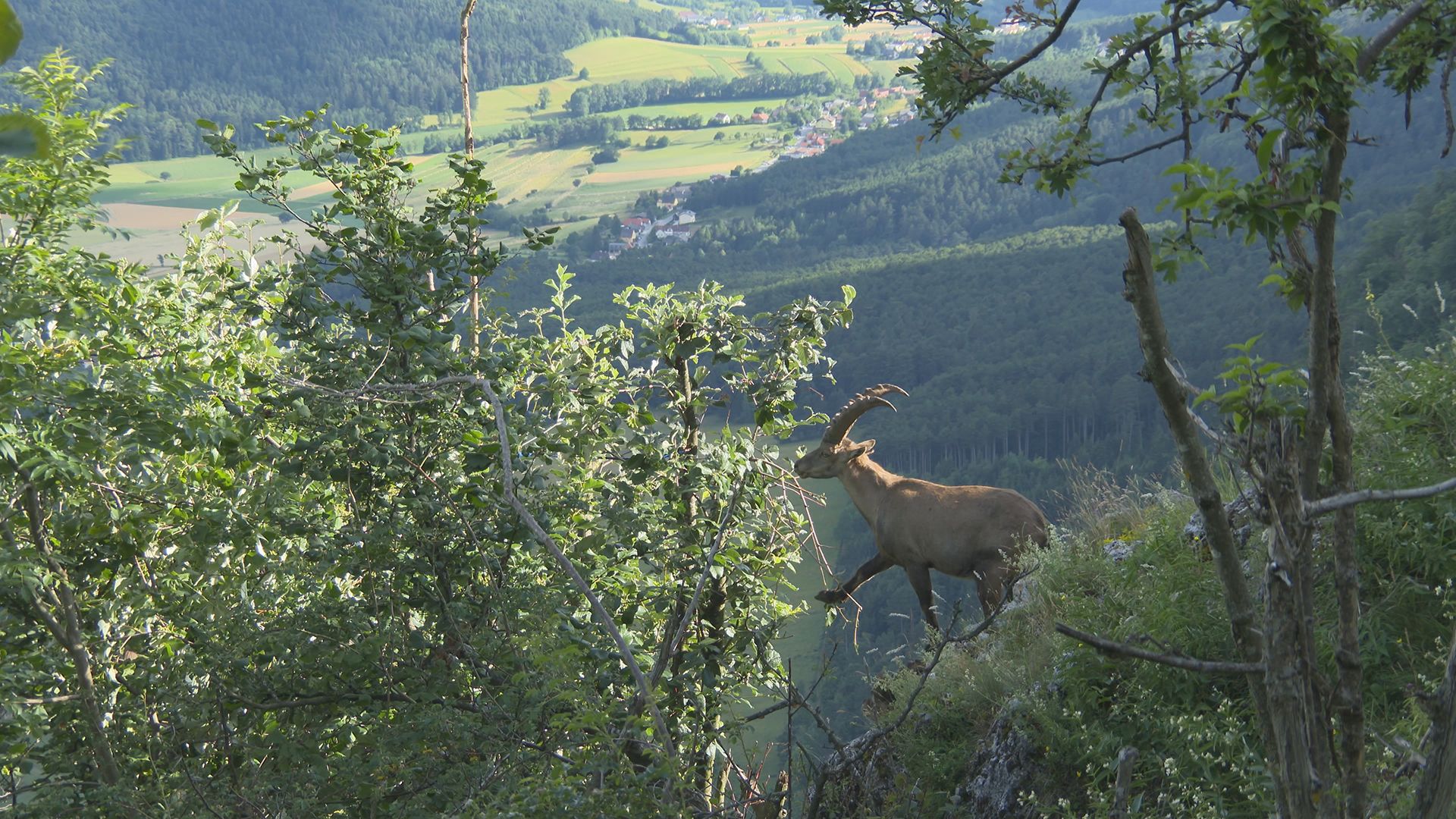 Universum Hermann Maier – Meine Heimat – Die Sonnenberge ...